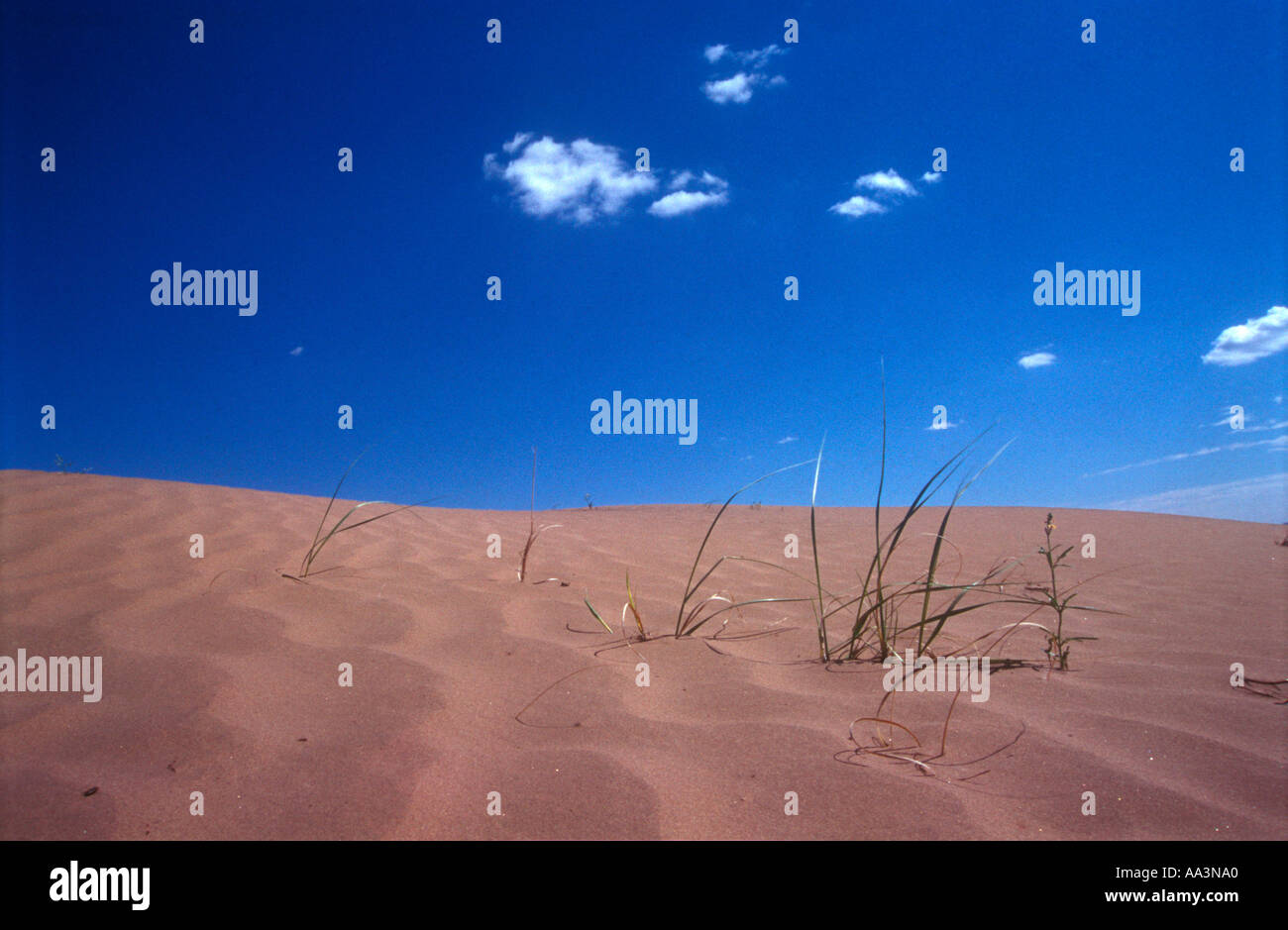 Desert dune in San Juan Monte desert in Western Argentina Stock Photo ...