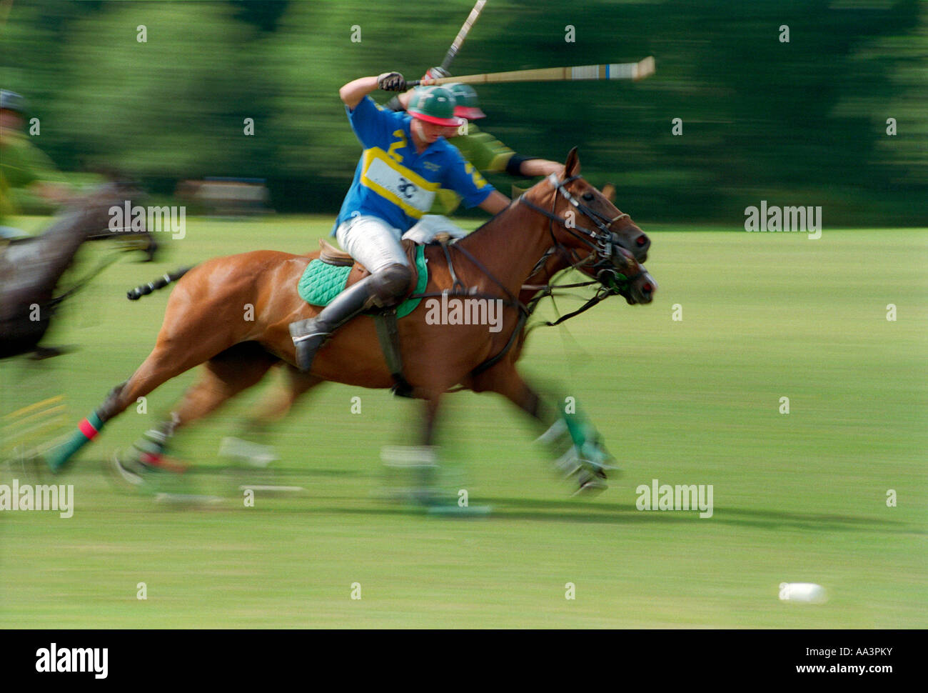 Competitive polo playing Stock Photo - Alamy