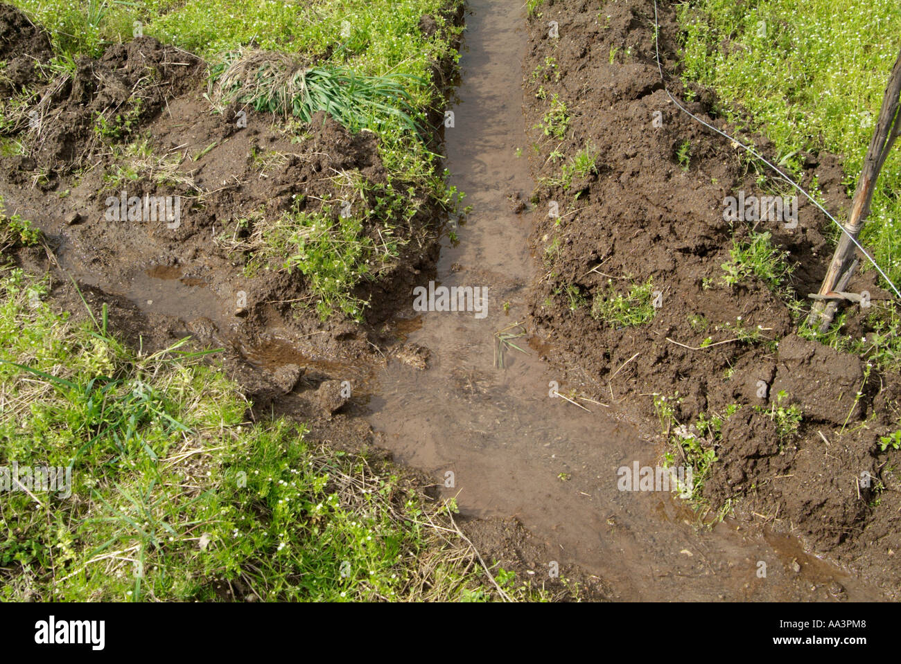 irrigation canal in a agricultural field in Portugal Stock Photo - Alamy