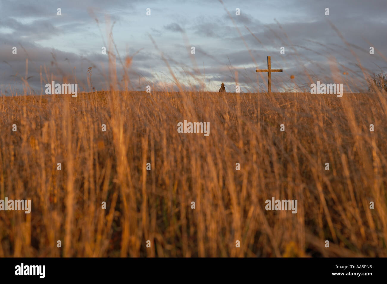 find solace in nature Stock Photo - Alamy