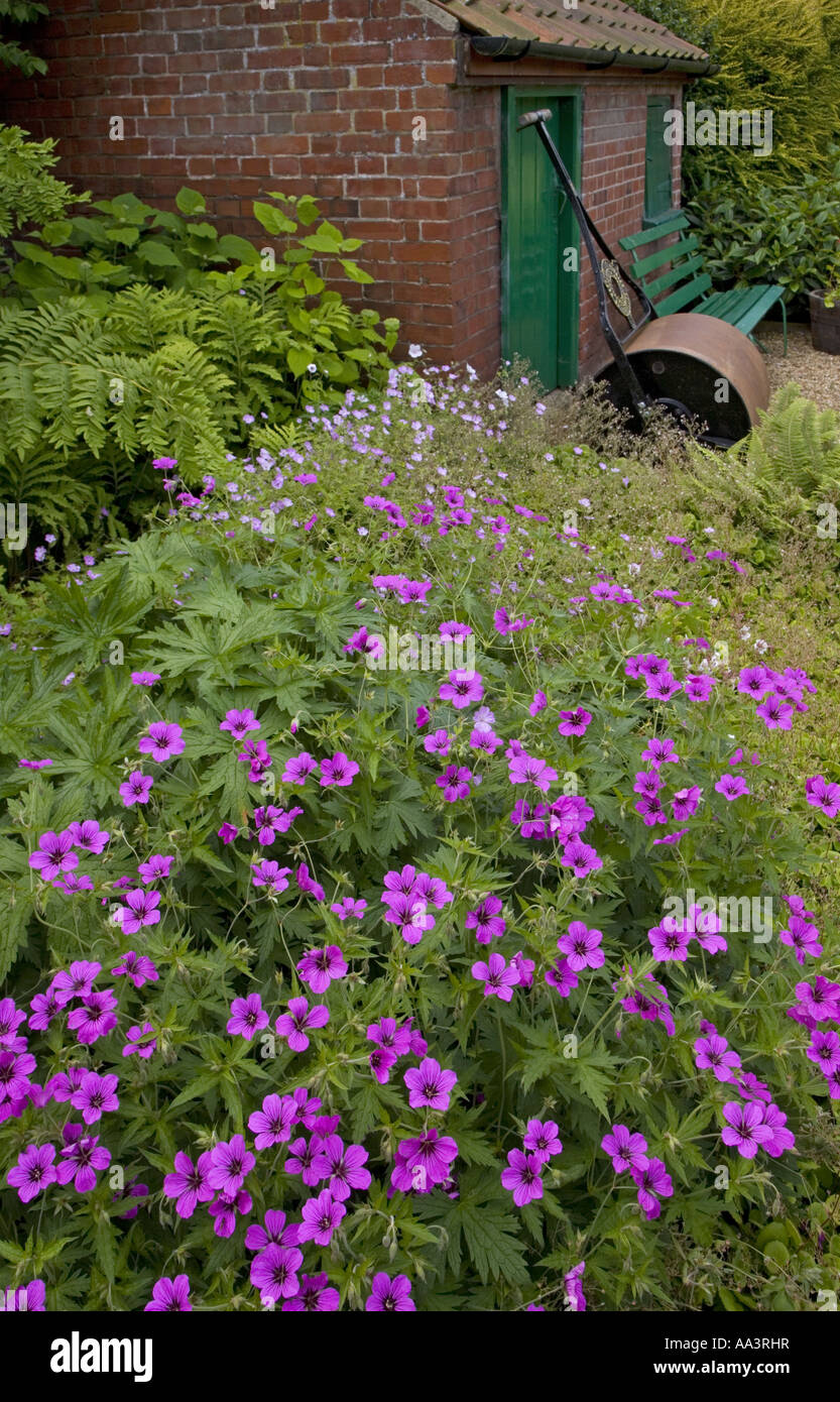 Garden Roller & Potting Shed Stock Photo - Alamy