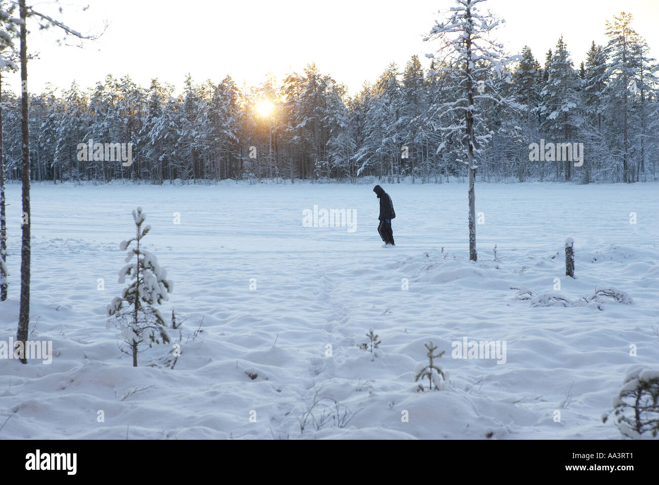 one young boy takes a bracing walk in the snow Stock Photo - Alamy