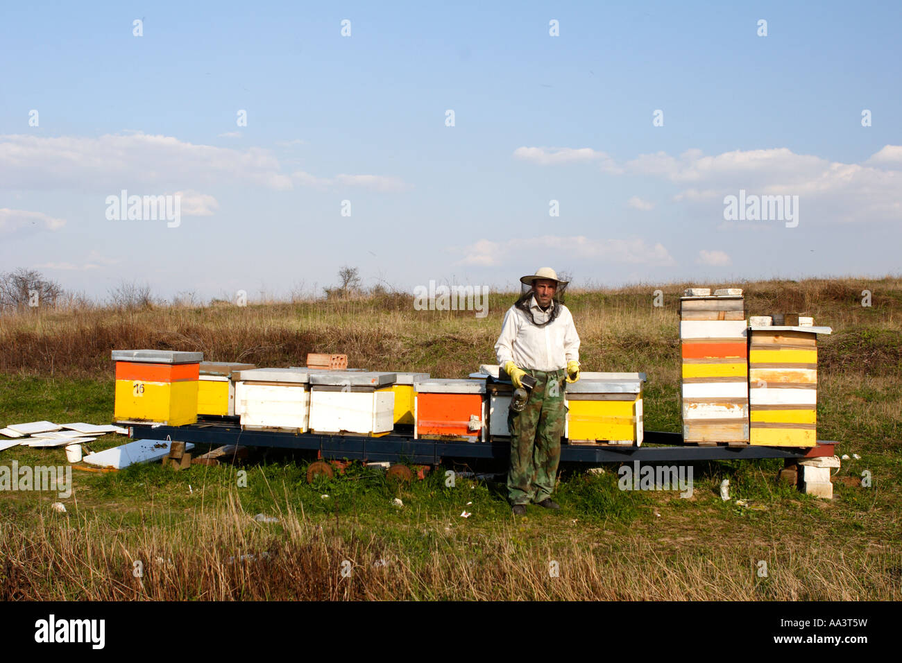 Domestic bee keeping hi-res stock photography and images - Alamy