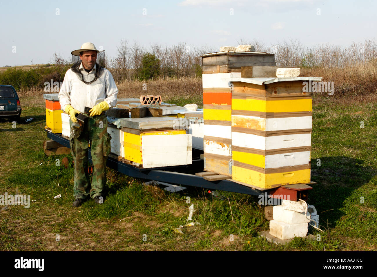 Bee keeper tending his bee hives Stock Photo - Alamy
