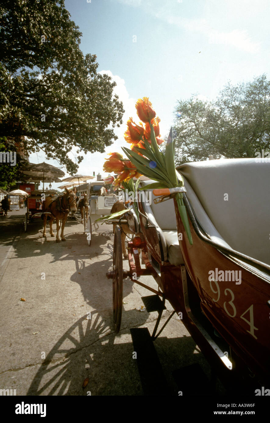 New orleans carriage rides hi-res stock photography and images - Alamy