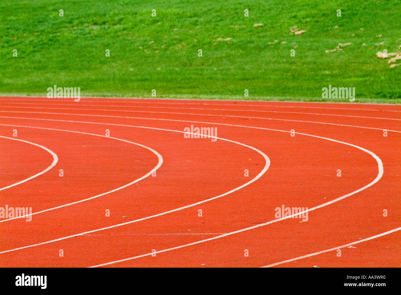 Marked lanes in the surface of a modern running track Stock Photo - Alamy