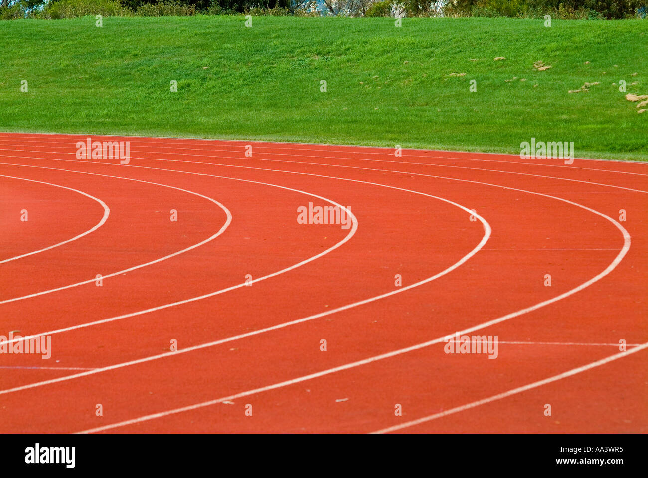 Marked lanes in the surface of a modern running track Stock Photo - Alamy