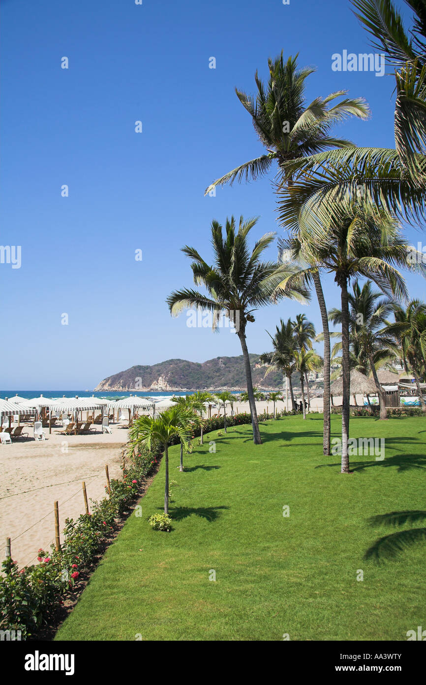 Idyllic palm trees acapulco hi-res stock photography and images - Alamy