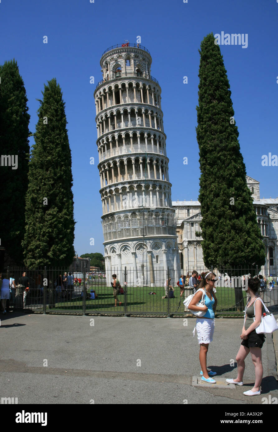Leaning Tower of Pisa with Trees Stock Photo - Alamy