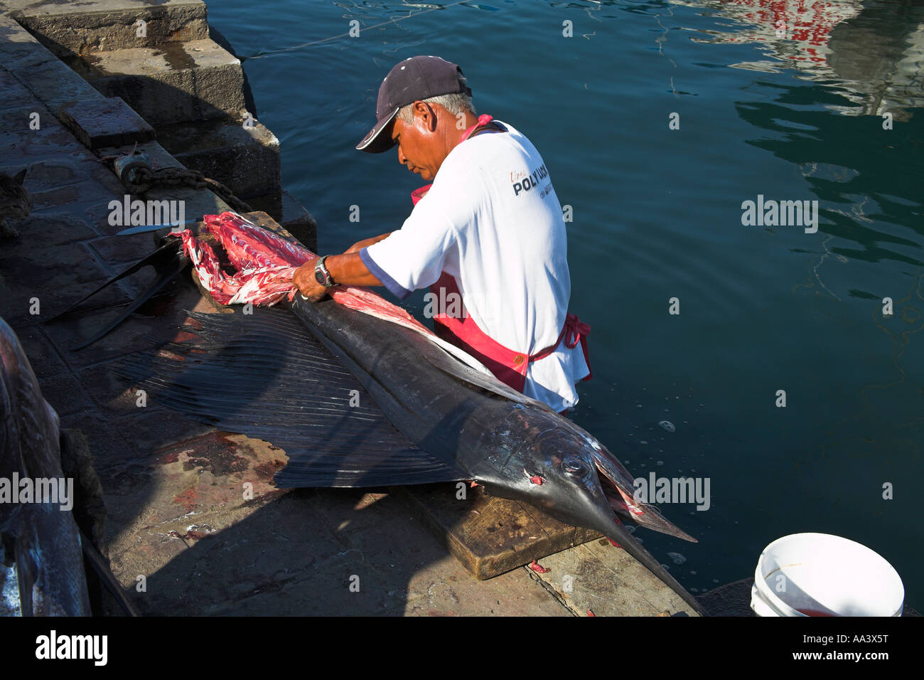 Fisherman cutting sail fish on quayside in the harbour, Acapulco Bay ...