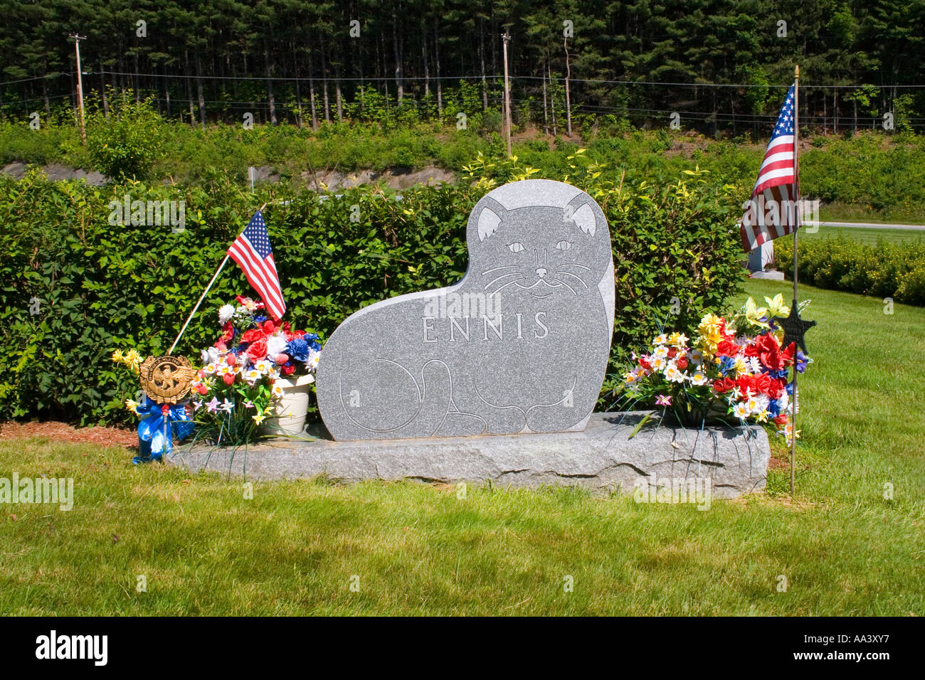 Cat cemetery hi-res stock photography and images - Alamy