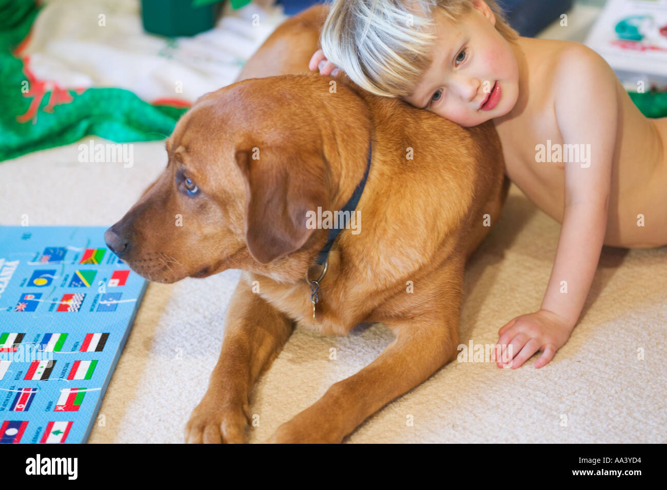 3 Year old female and labrador Stock Photo - Alamy