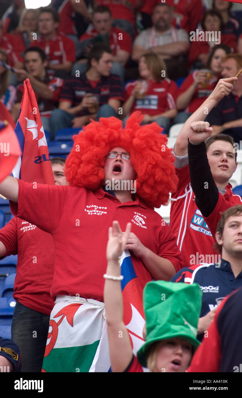 Llanelli scarlets supporters at heineken cup semi final leicester ...