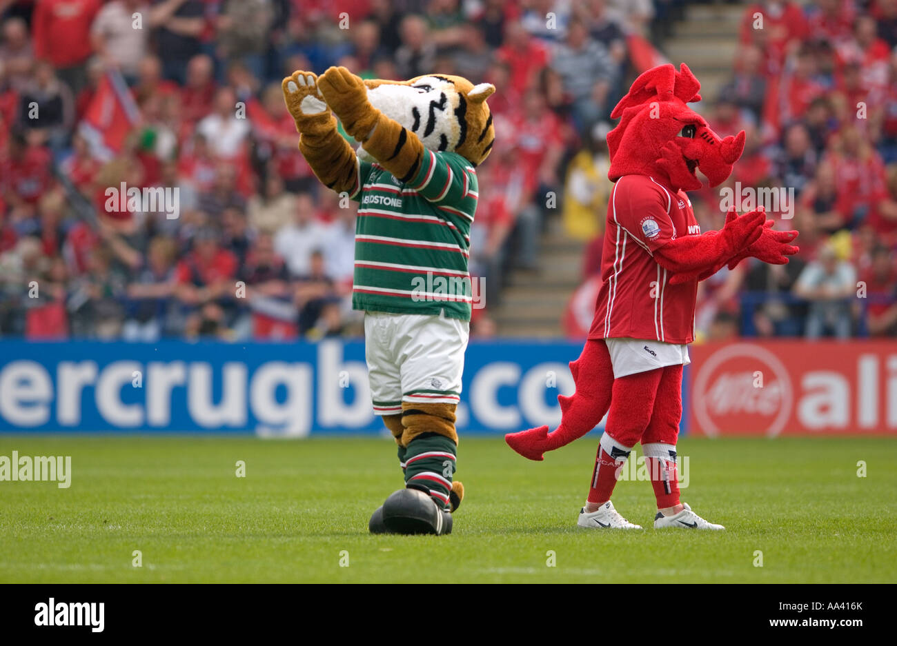 Llanelli Scarlets Mascot High Resolution Stock Photography and Images ...