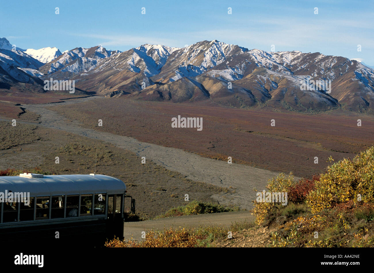 Alaska Bus Tour Denali National Park Stock Photo - Alamy