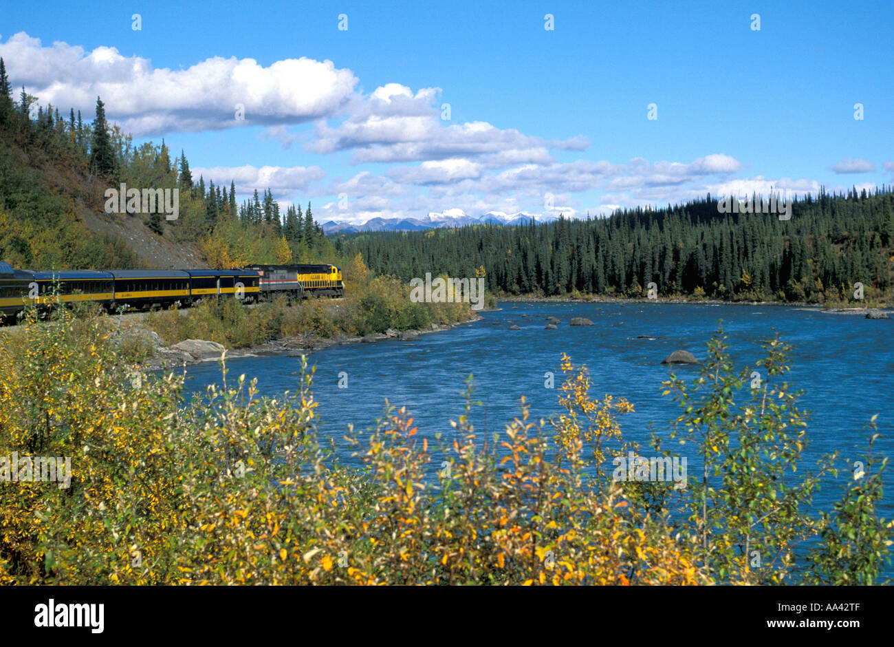 Alaska Railroad RR to Denali Stock Photo - Alamy