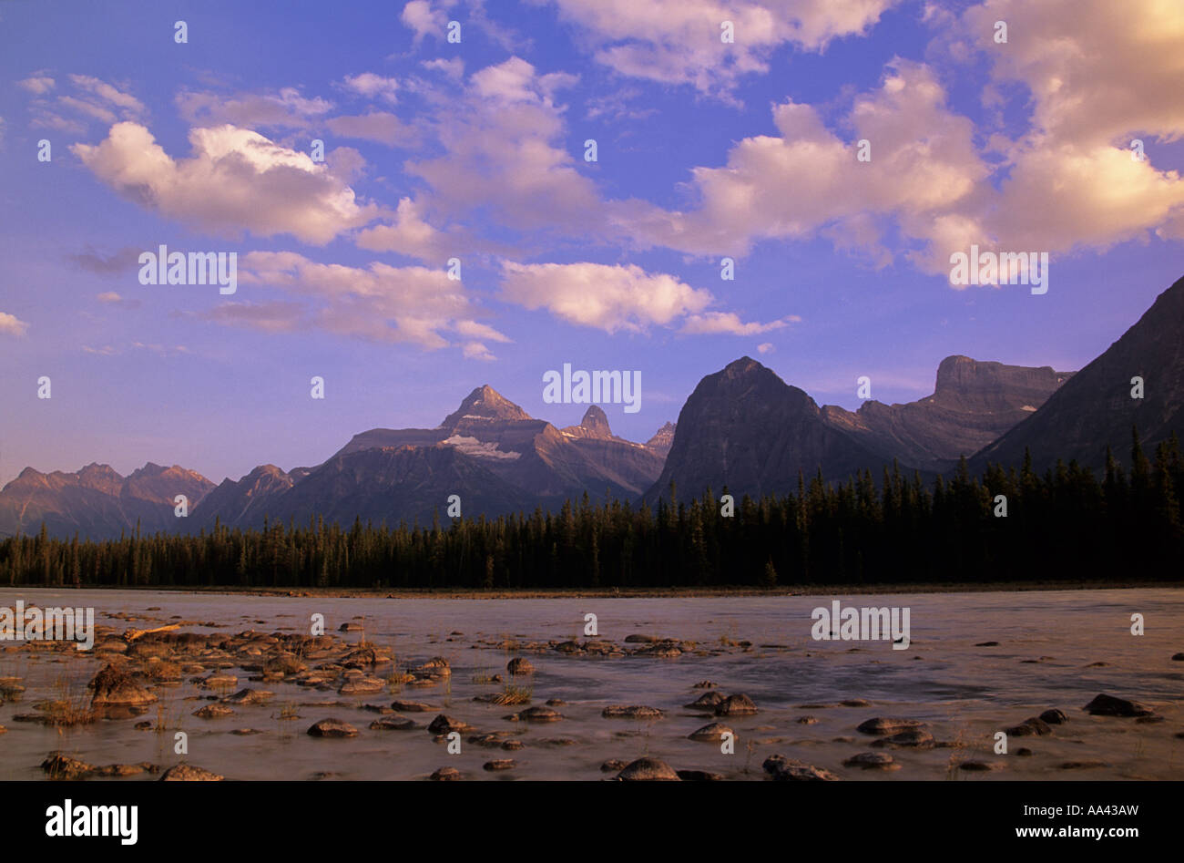 Mount Christie and Athabasca River Jasper National Park Alberta Stock ...
