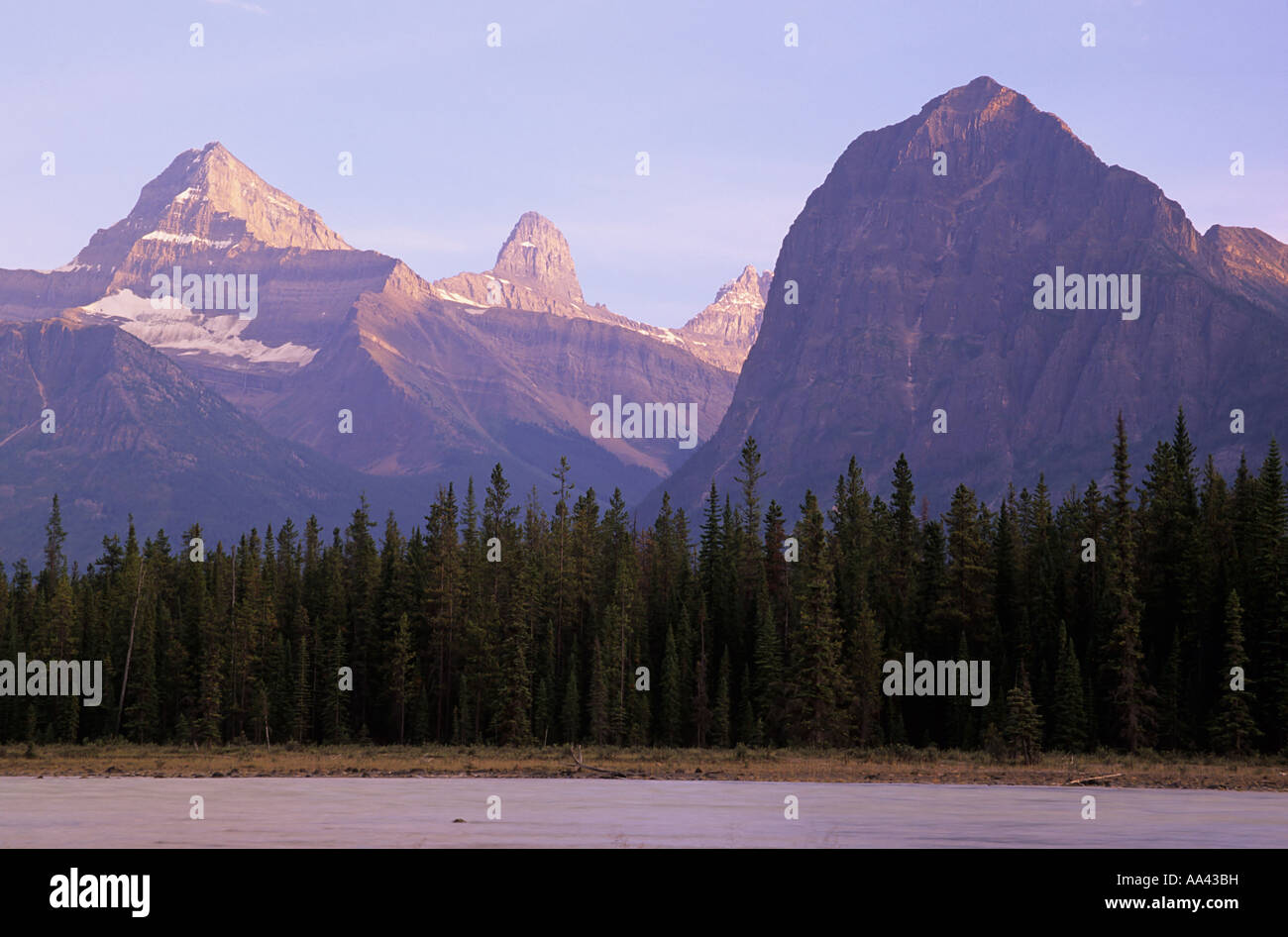 Mount Christie and Athabasca River Jasper National Park Alberta Stock ...
