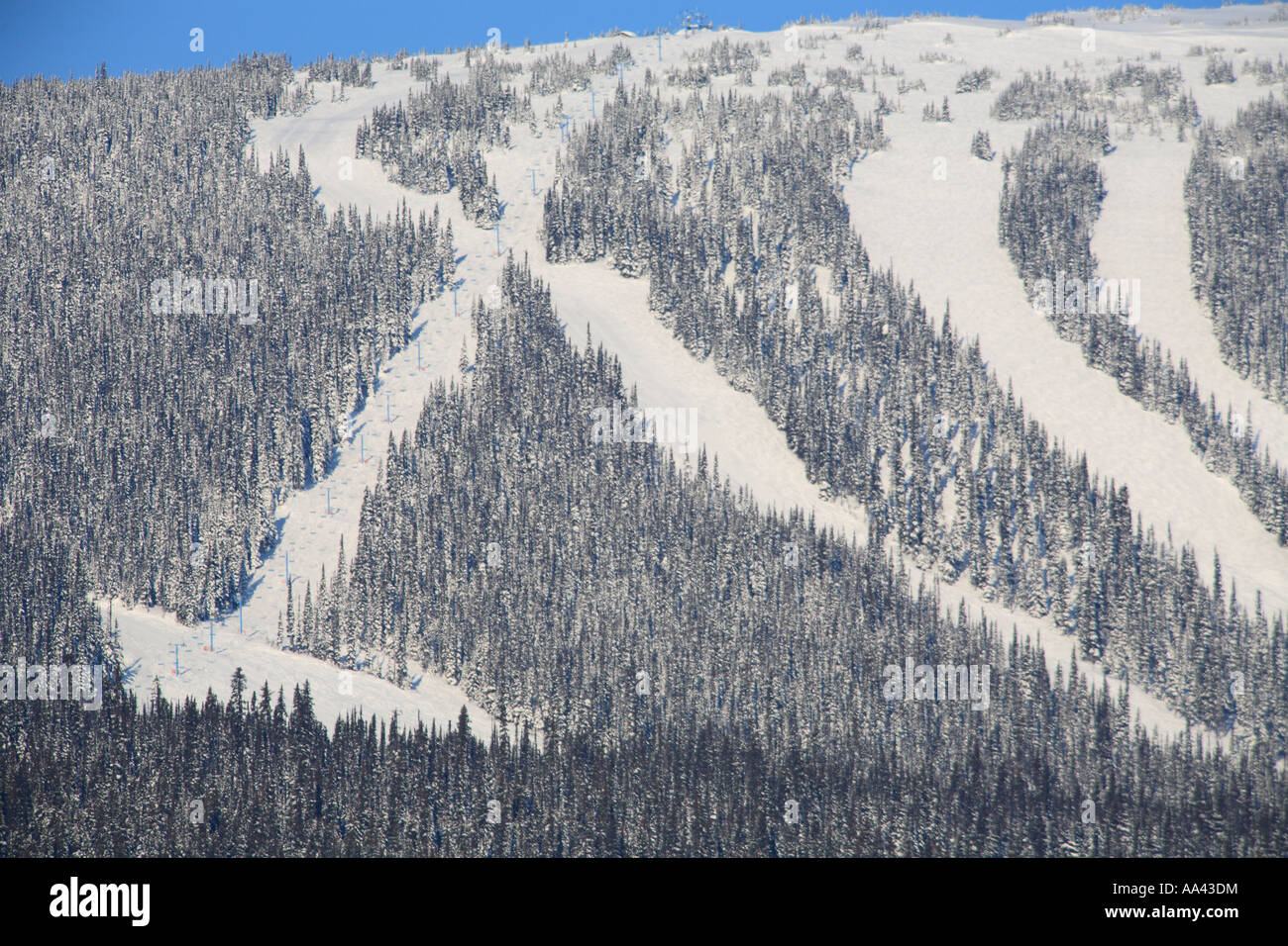 Ski and Ride Smithers ski area above Smithers British Columbia Stock ...