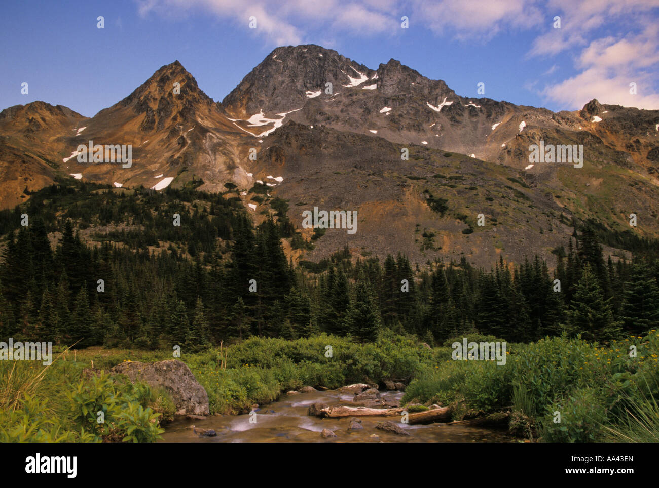 Silver King Basin Babine Mountains Provincial Park Smithers British ...