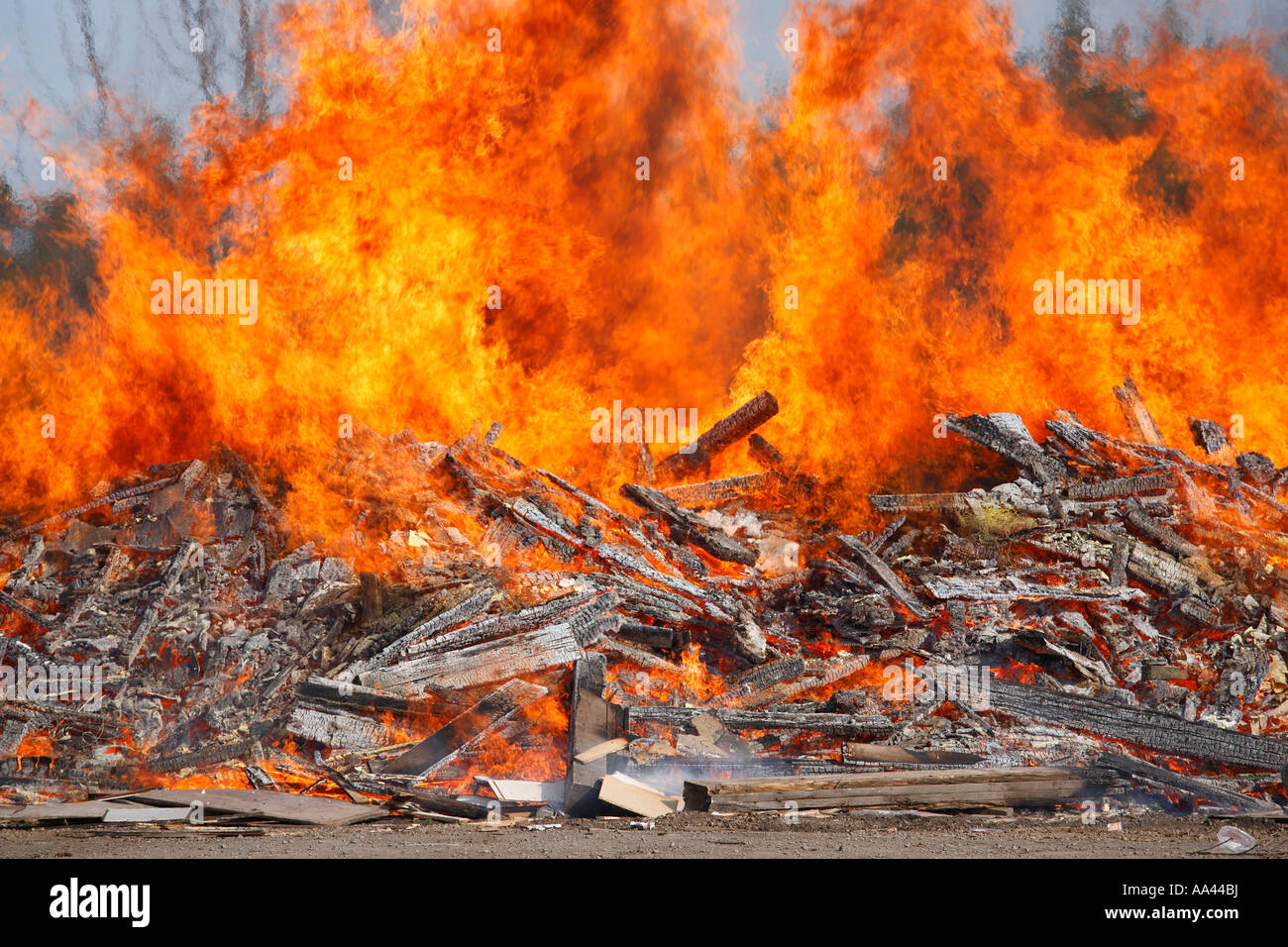 Wood waste pile being burned at Regional Transfer Station Smithers ...