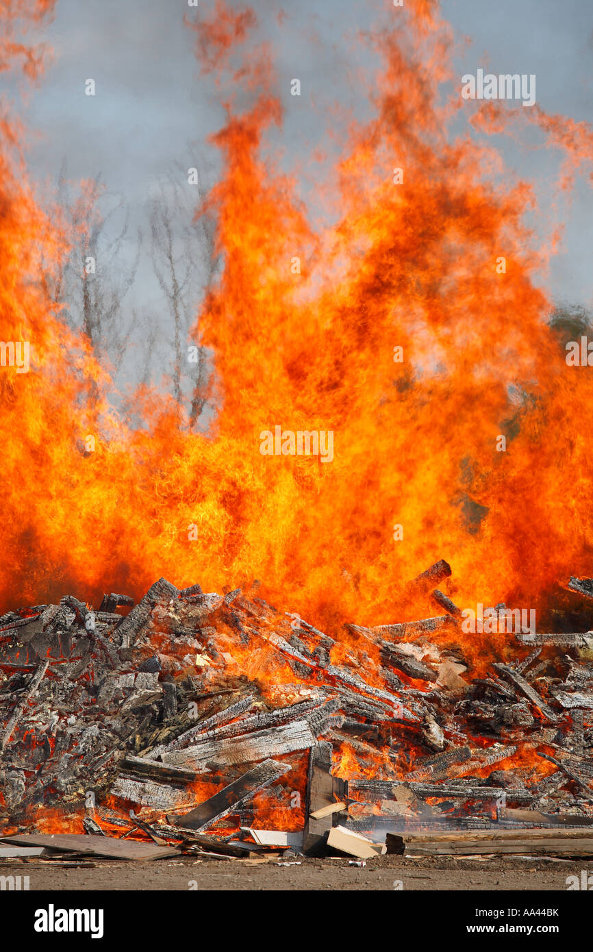 Wood waste pile being burned at Regional Transfer Station Smithers ...