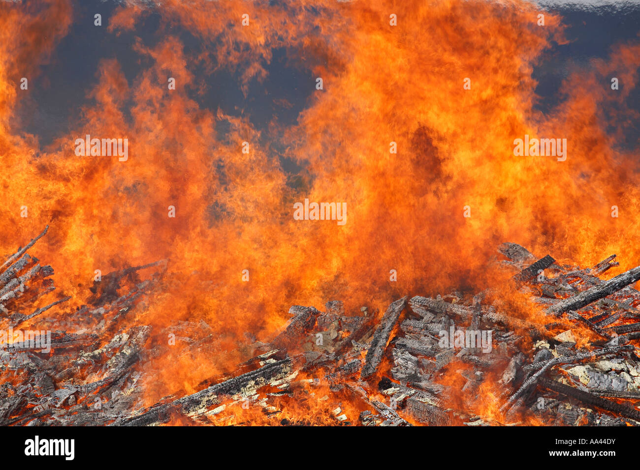 Wood waste pile being burned at Regional Transfer Station Smithers ...