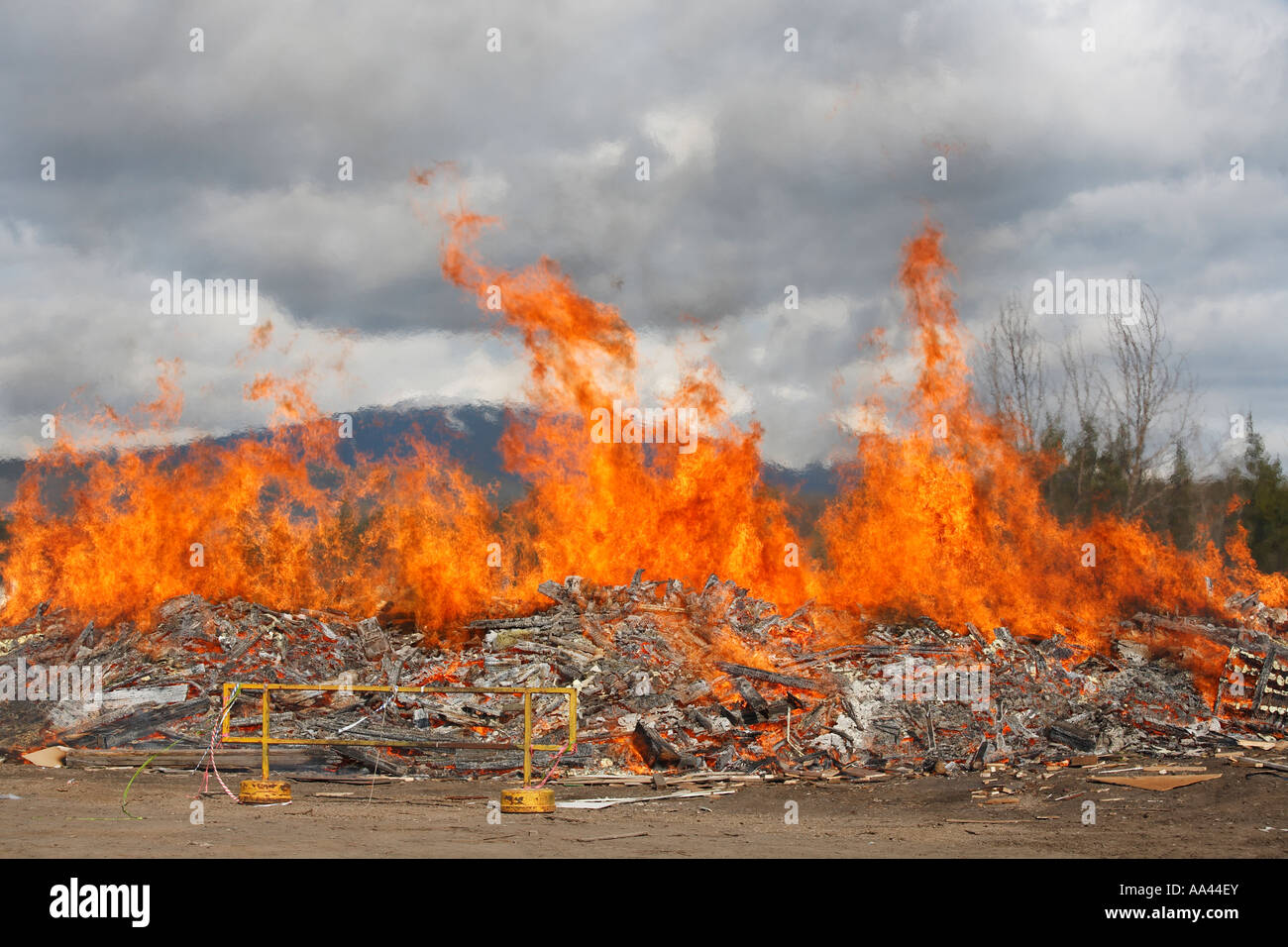 Wood waste pile being burned at Regional Transfer Station Smithers ...