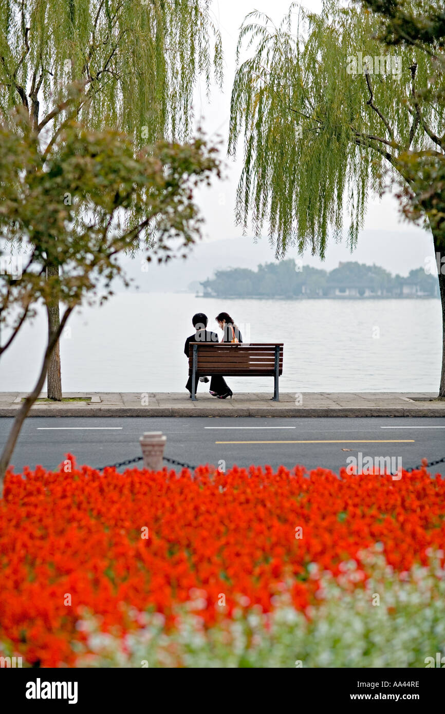 Bench sitting under willow tree hi-res stock photography and images - Alamy
