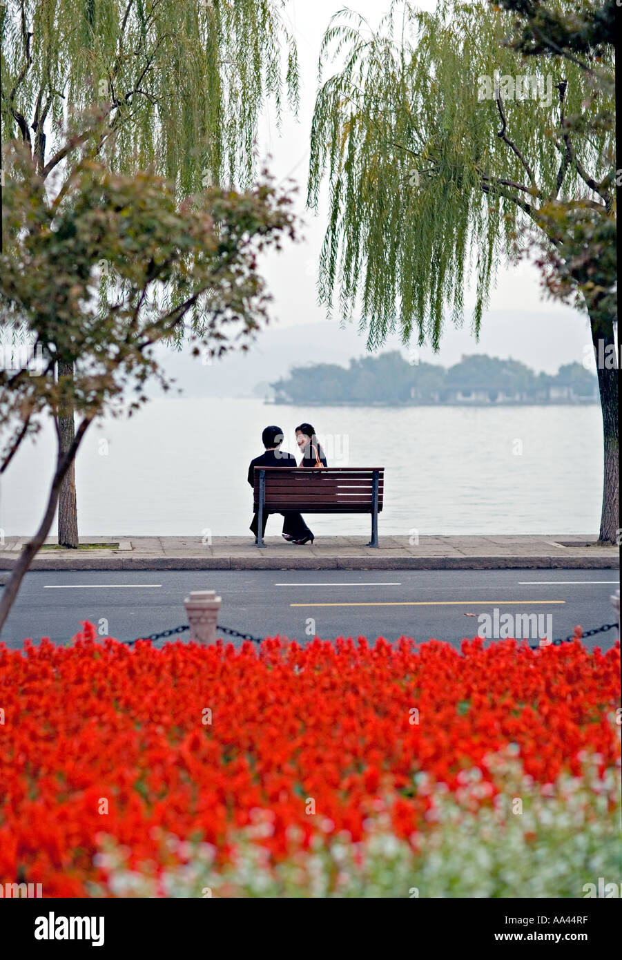Bench sitting under willow tree hi-res stock photography and images - Alamy