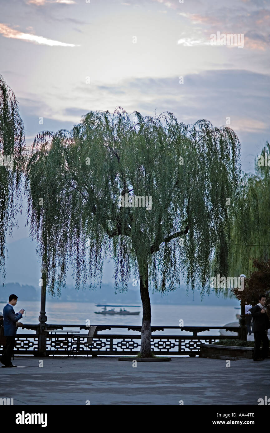 Walking under willow trees in hi-res stock photography and images - Alamy