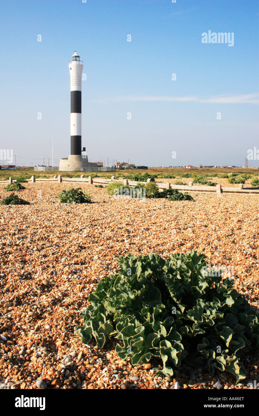 Dungeness open hi-res stock photography and images - Alamy