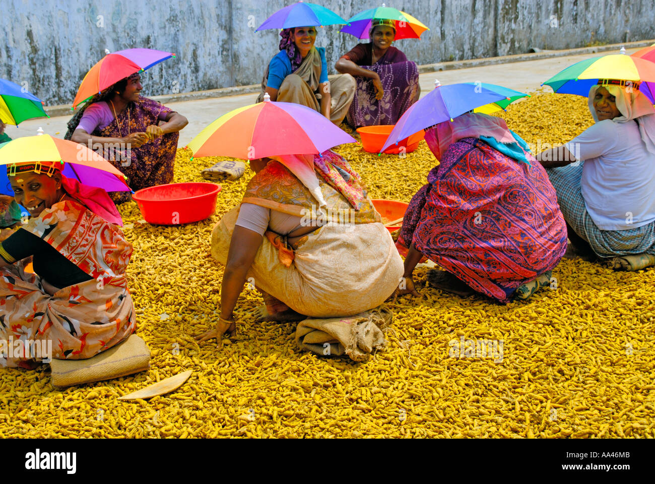 Cochin turmeric hi-res stock photography and images - Alamy