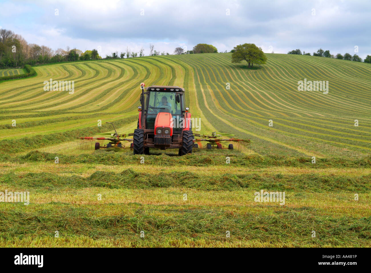 HARVESTING SILAGE GRASS ON ENGLISH FARM Stock Photo - Alamy