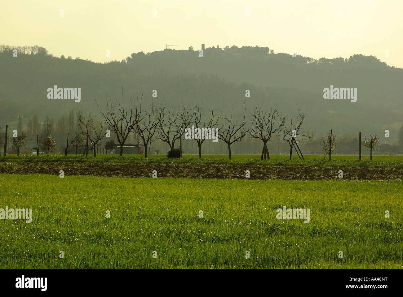 Green Umbrian fields silhouette of town Italy Italia Italian Stock ...