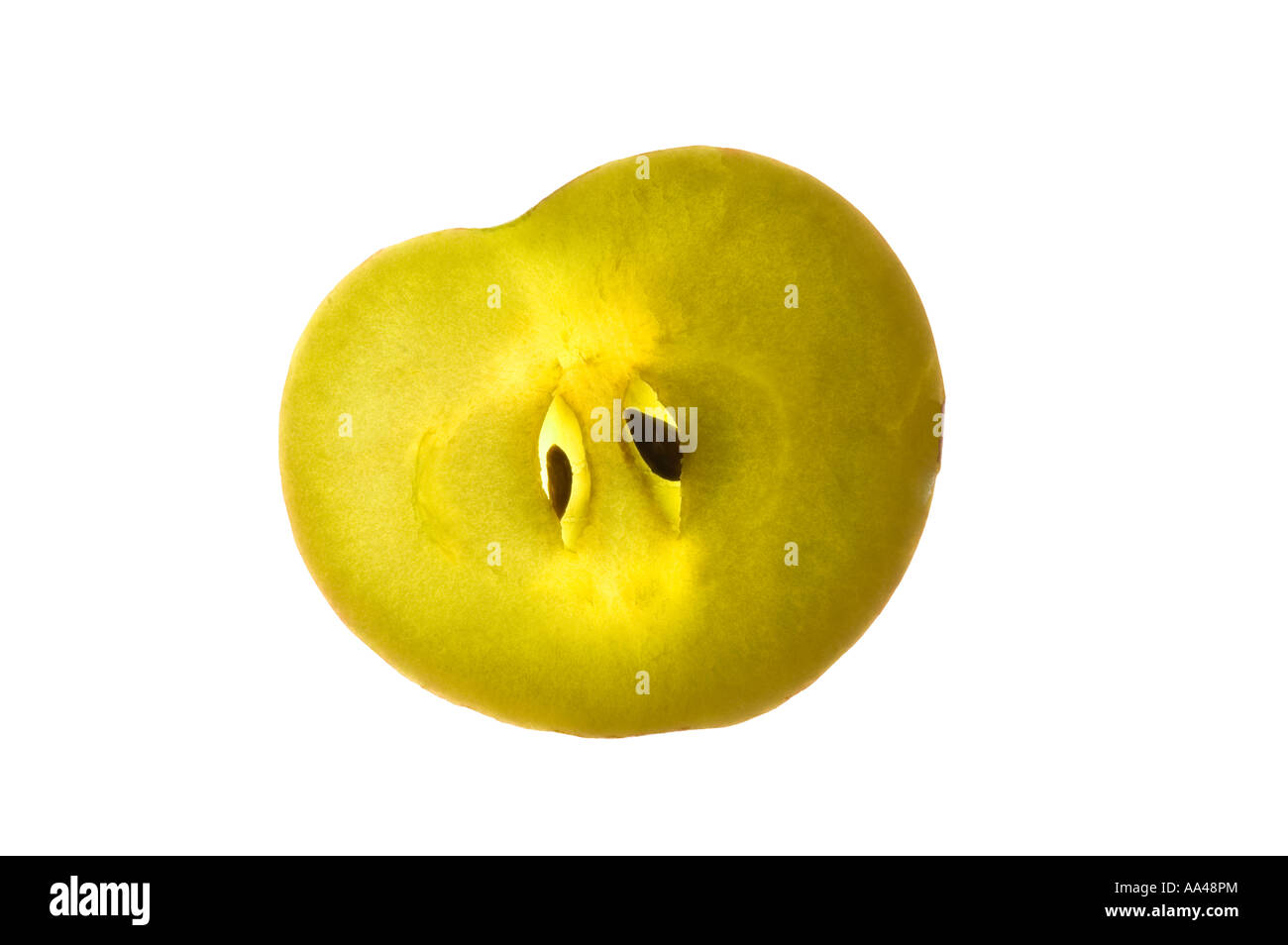 Backlight seeds Cut Out Stock Images & Pictures - Alamy