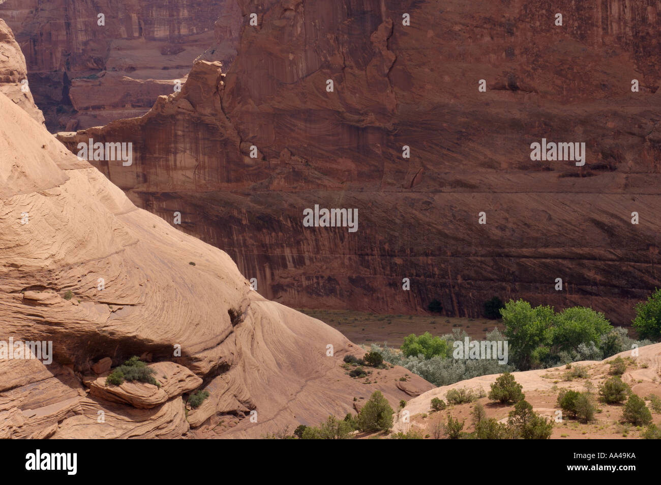 Sandstone walls of Canyon de Chelly National Monument on the Navajo ...