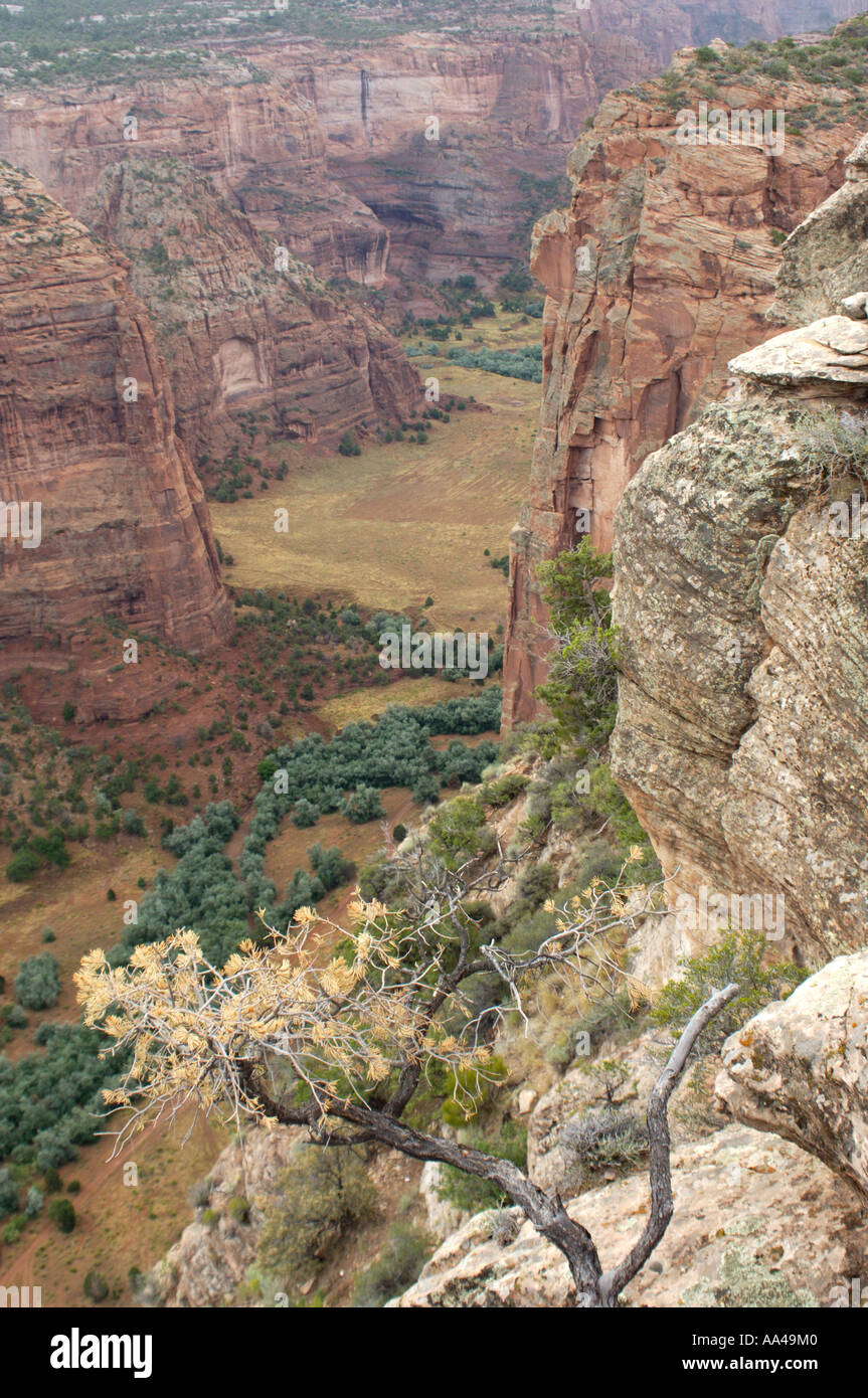 Cliff walls of Canyon de Chelly National Monument on the Navajo Nation ...