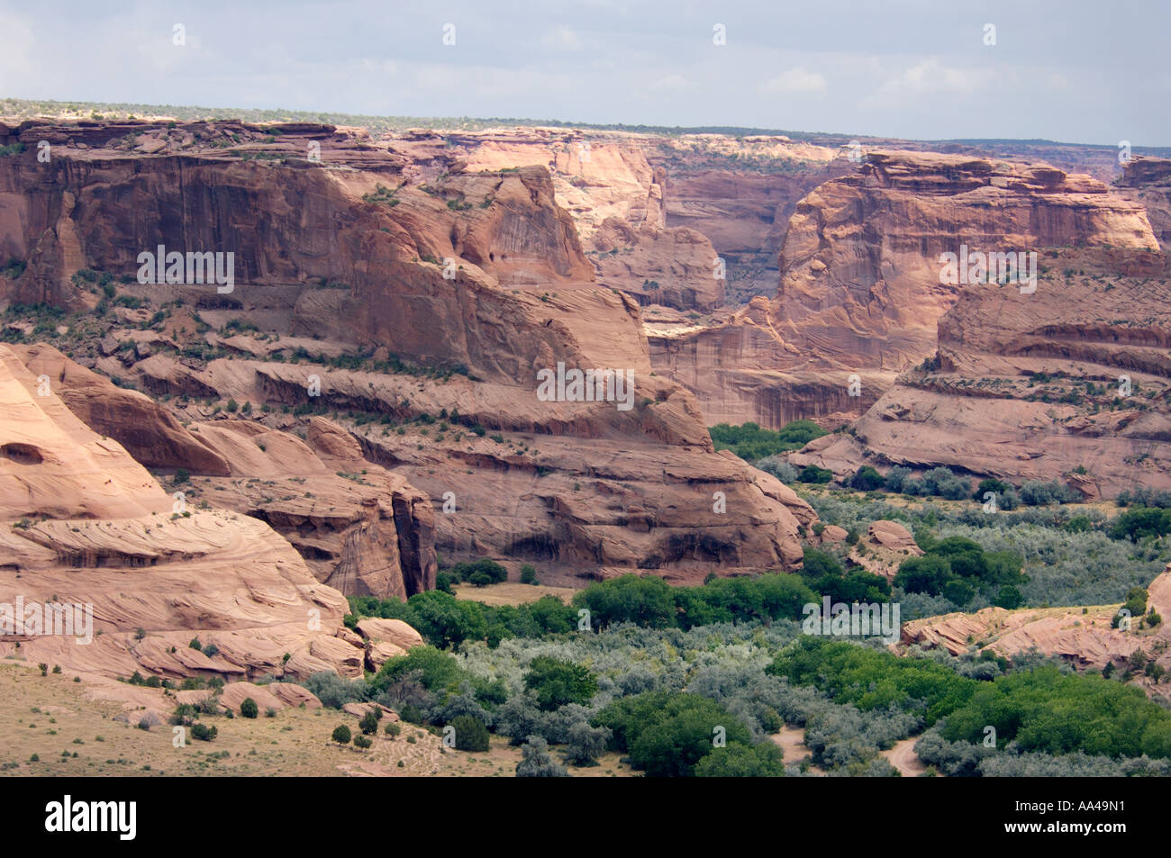 Sandstone mesas of Canyon de Chelly National Monument on the Navajo ...