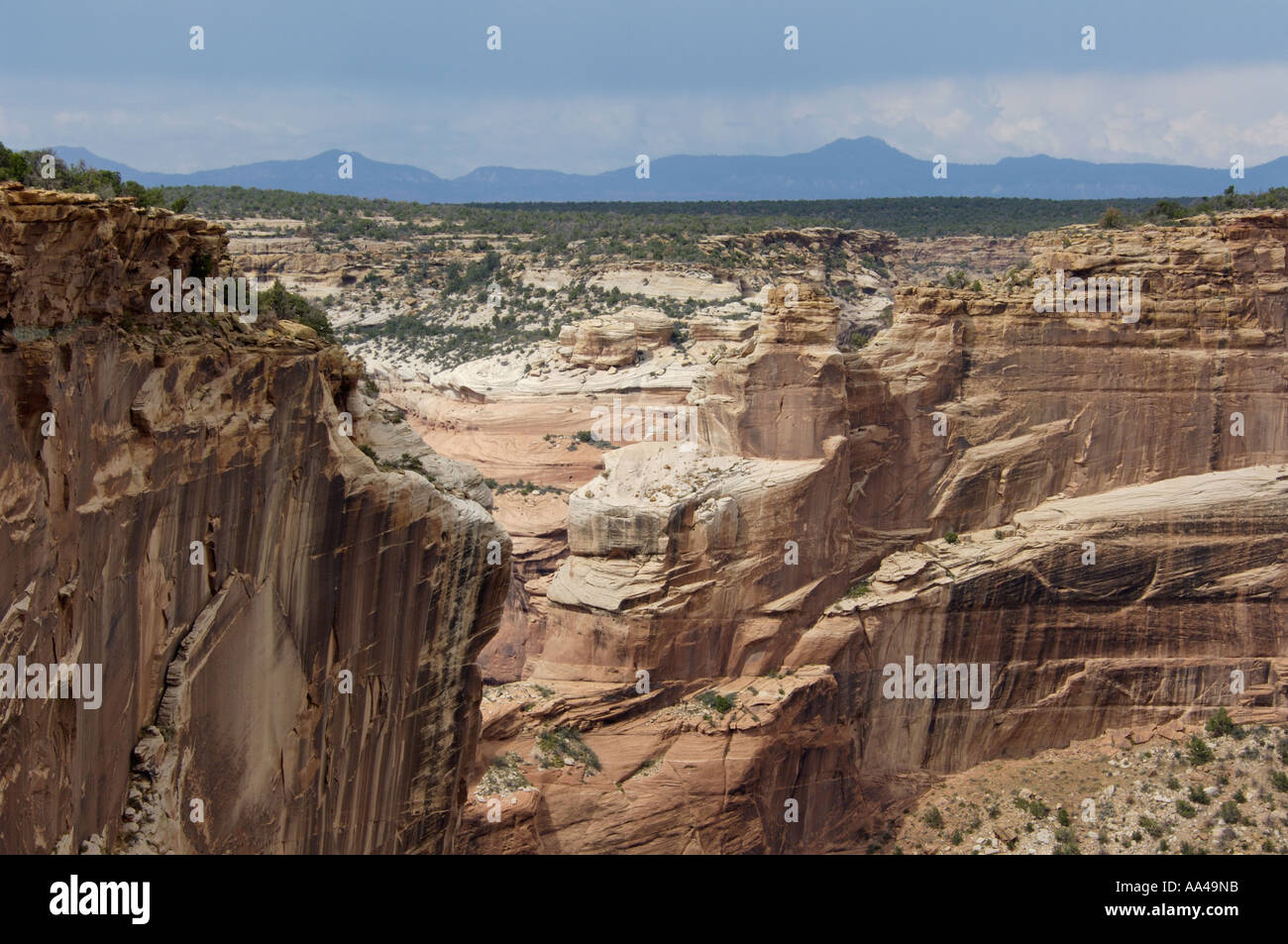 Chuska Mountains seen from Canyon de Chelly National Monument on the ...