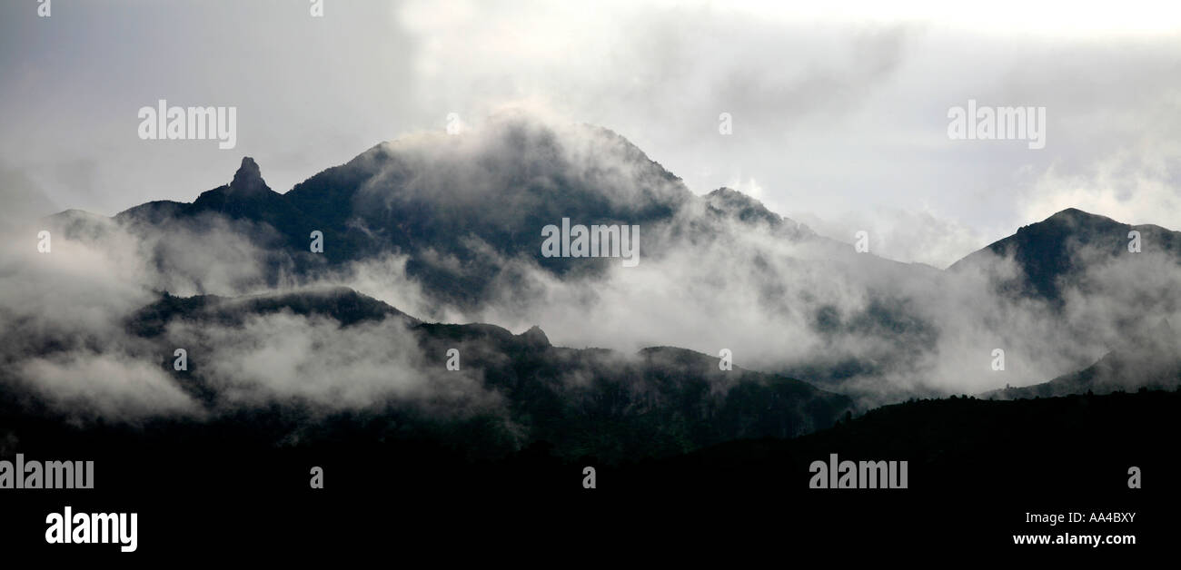 Mount Hobson surrounded by mist clouds after rain on Great Barrier ...