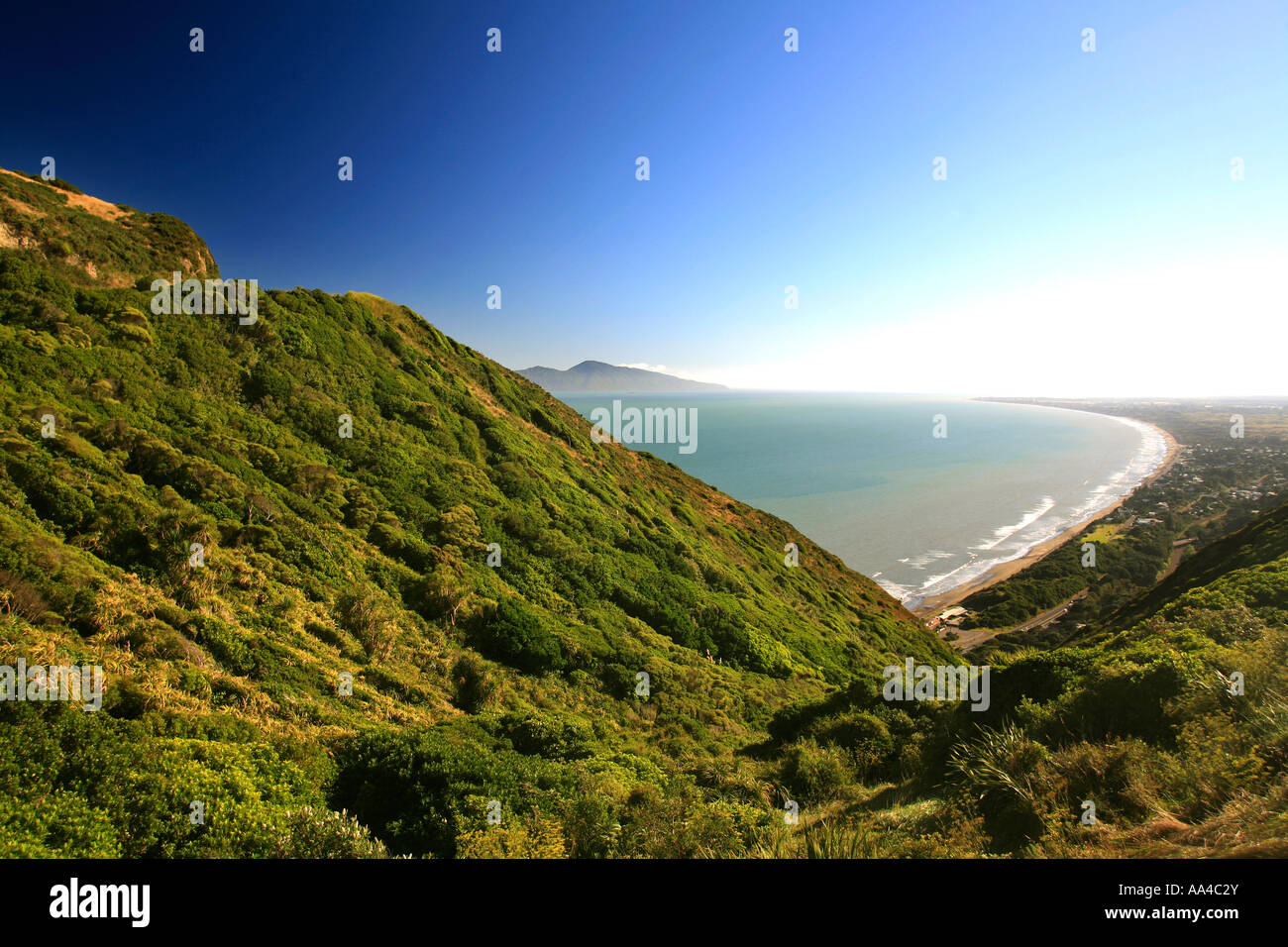 Kapiti island hi-res stock photography and images - Alamy