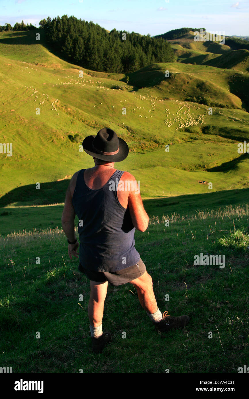 A back country sheep farmer on his property in Taranaki New Zealand Stock Photo - Alamy