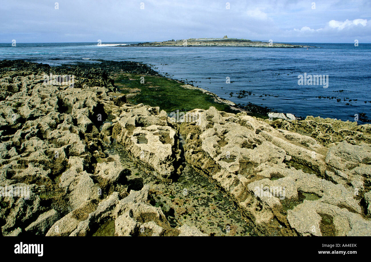 Limestone pavement of the Burren, Ireland Stock Photo - Alamy