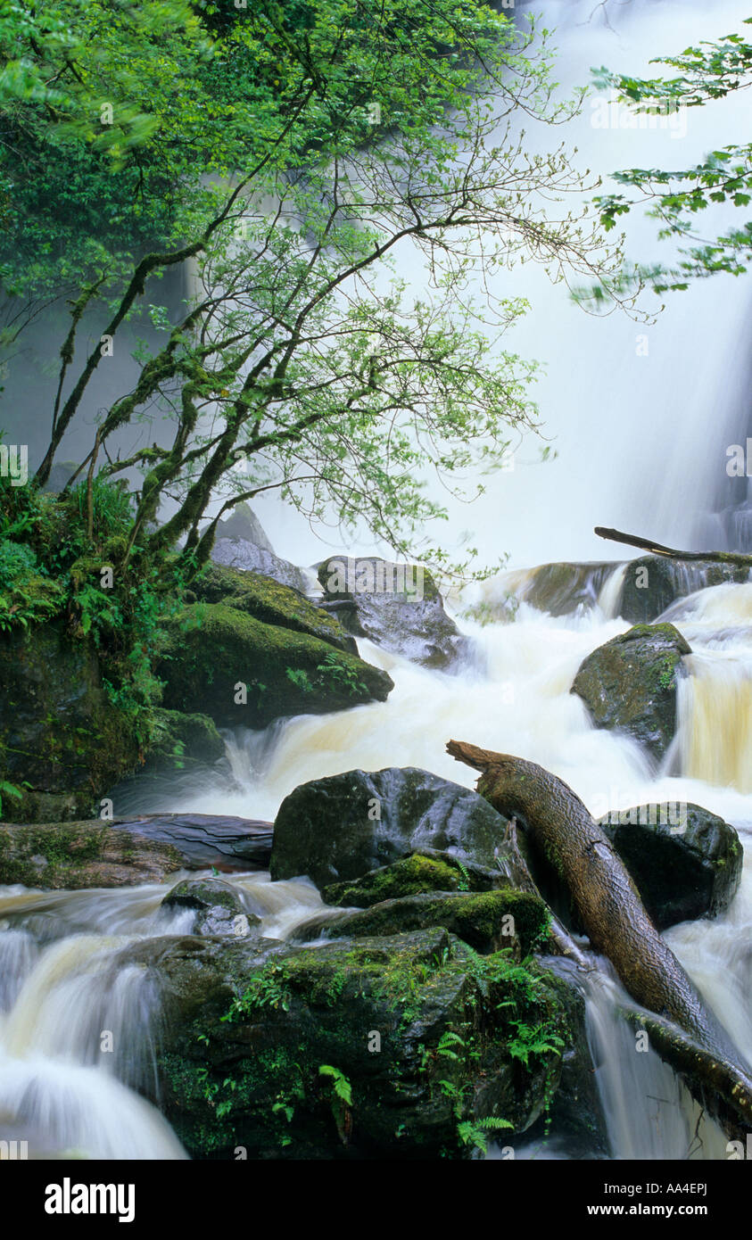 Tork waterfall hi-res stock photography and images - Alamy