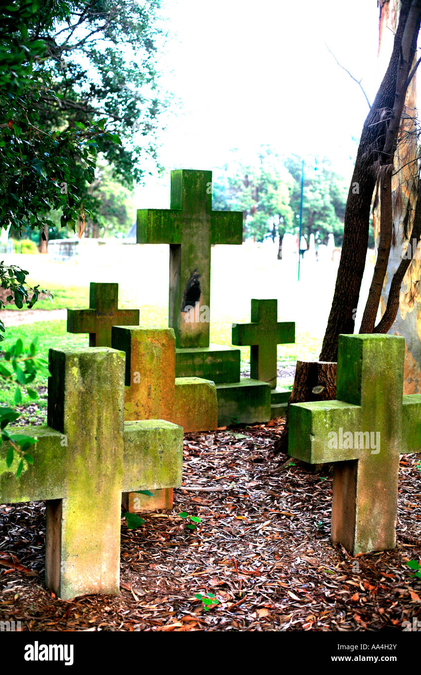 Sandstone headstones in an historical early settlers cemetery at Crows ...