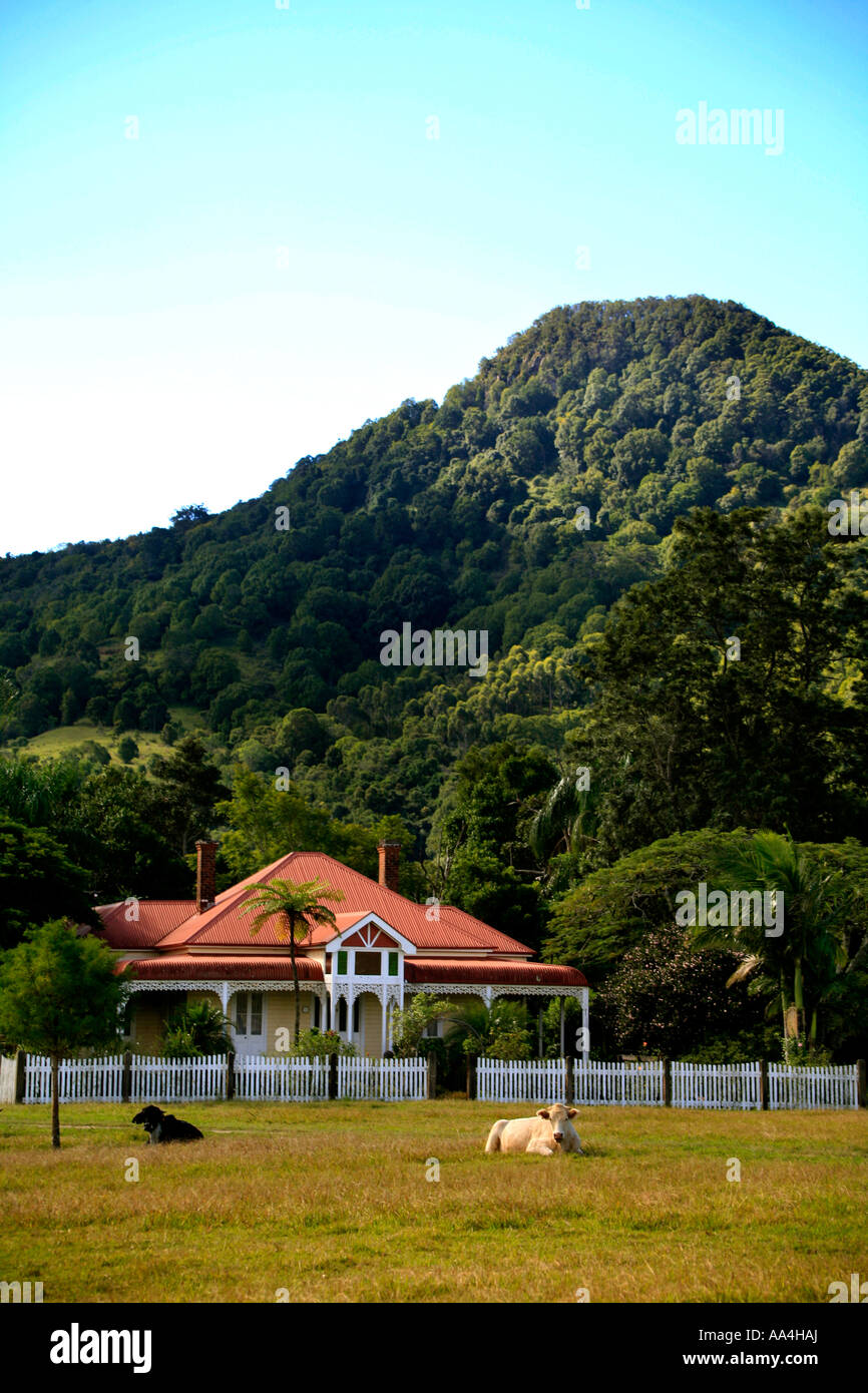 A federation style farmhouse with cows below Mount Chincogan on Main ...