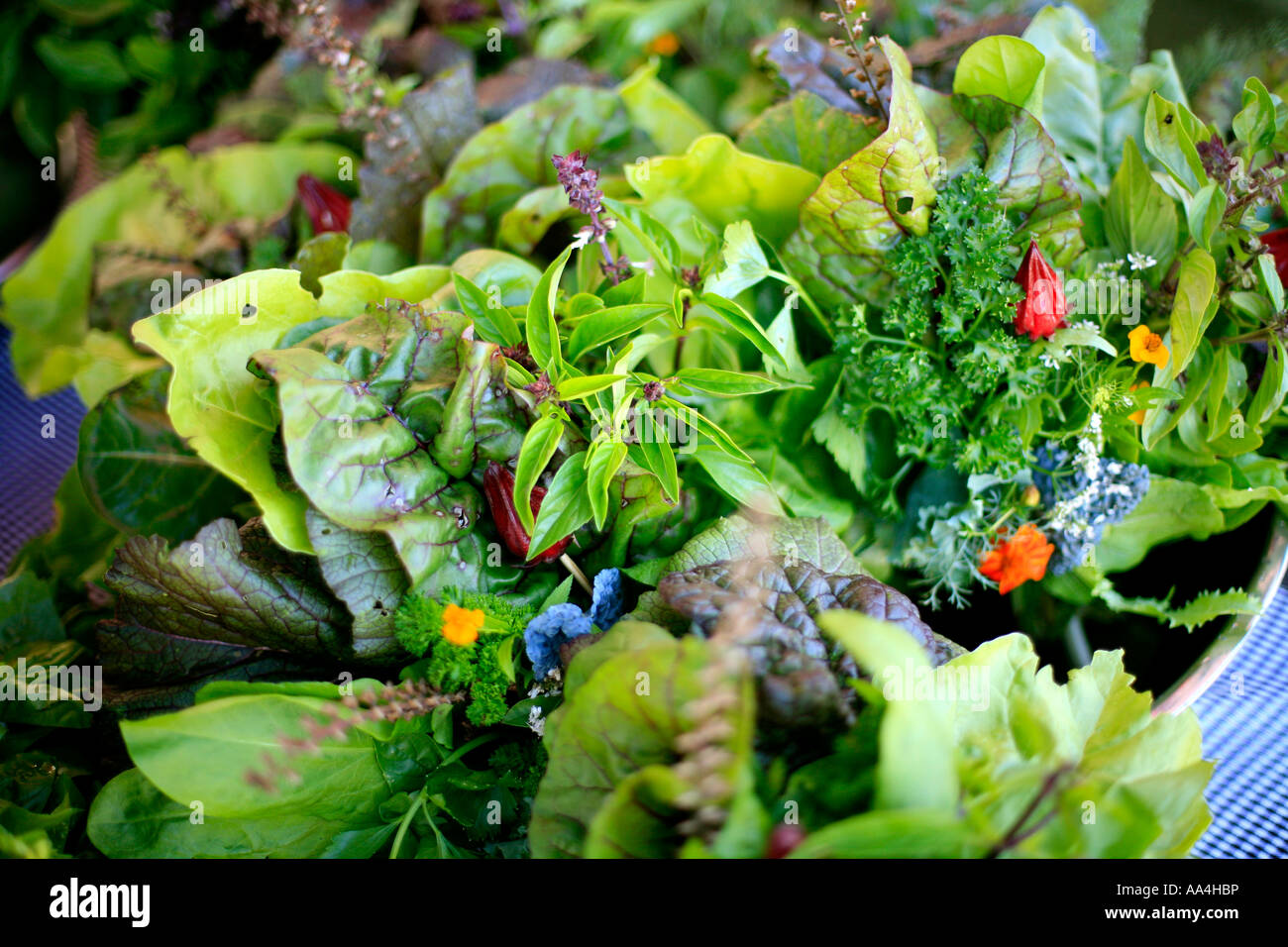 A beautiful fresh green salad display at Byron Bay Produce Markets NSW ...