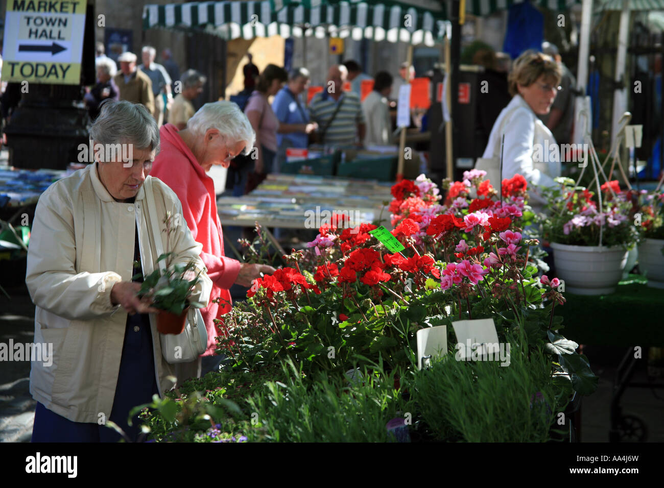 Market Day Wells Somerset England UK Stock Photo - Alamy
