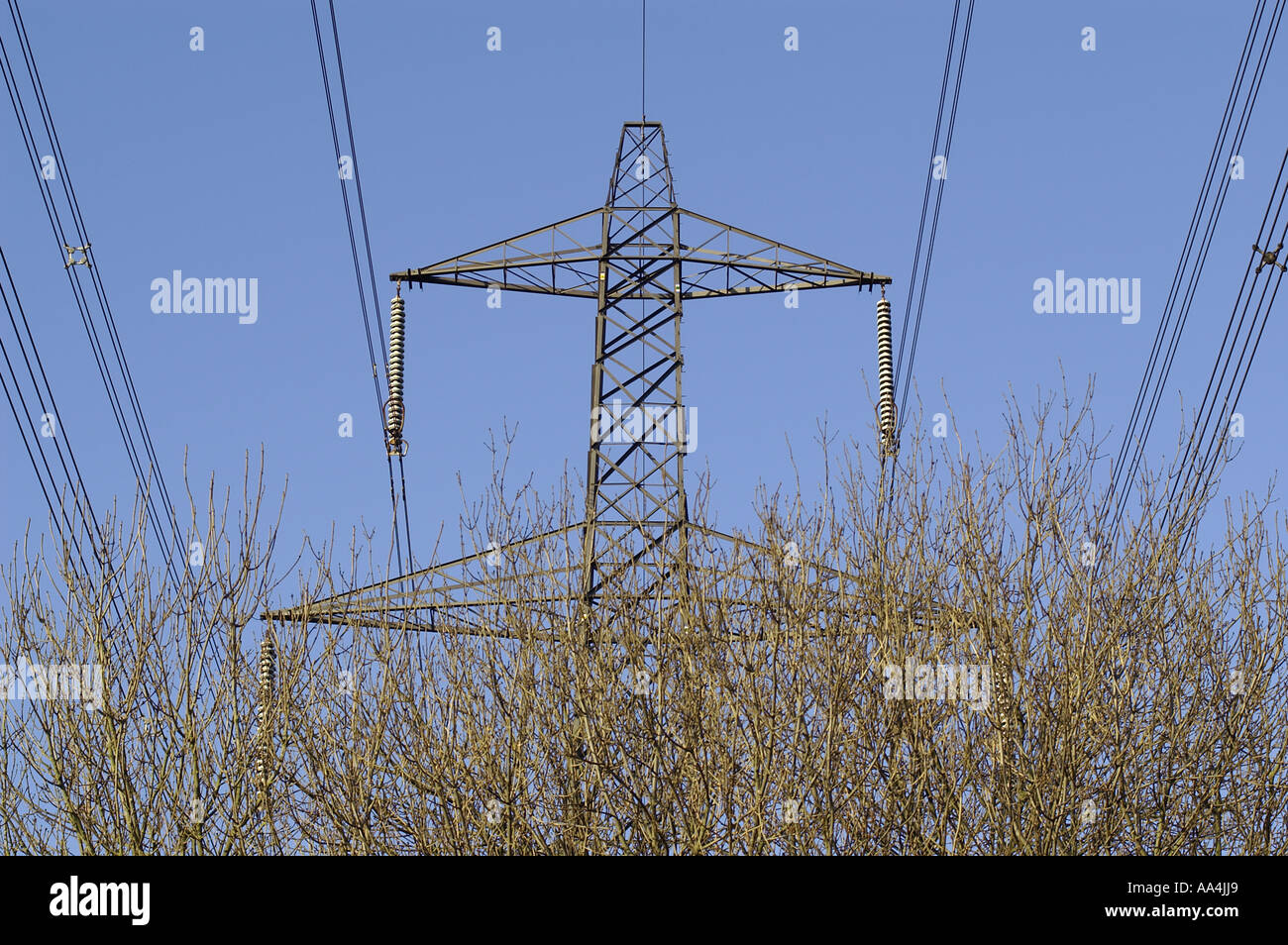 Power lines trough the contryside Stock Photo - Alamy